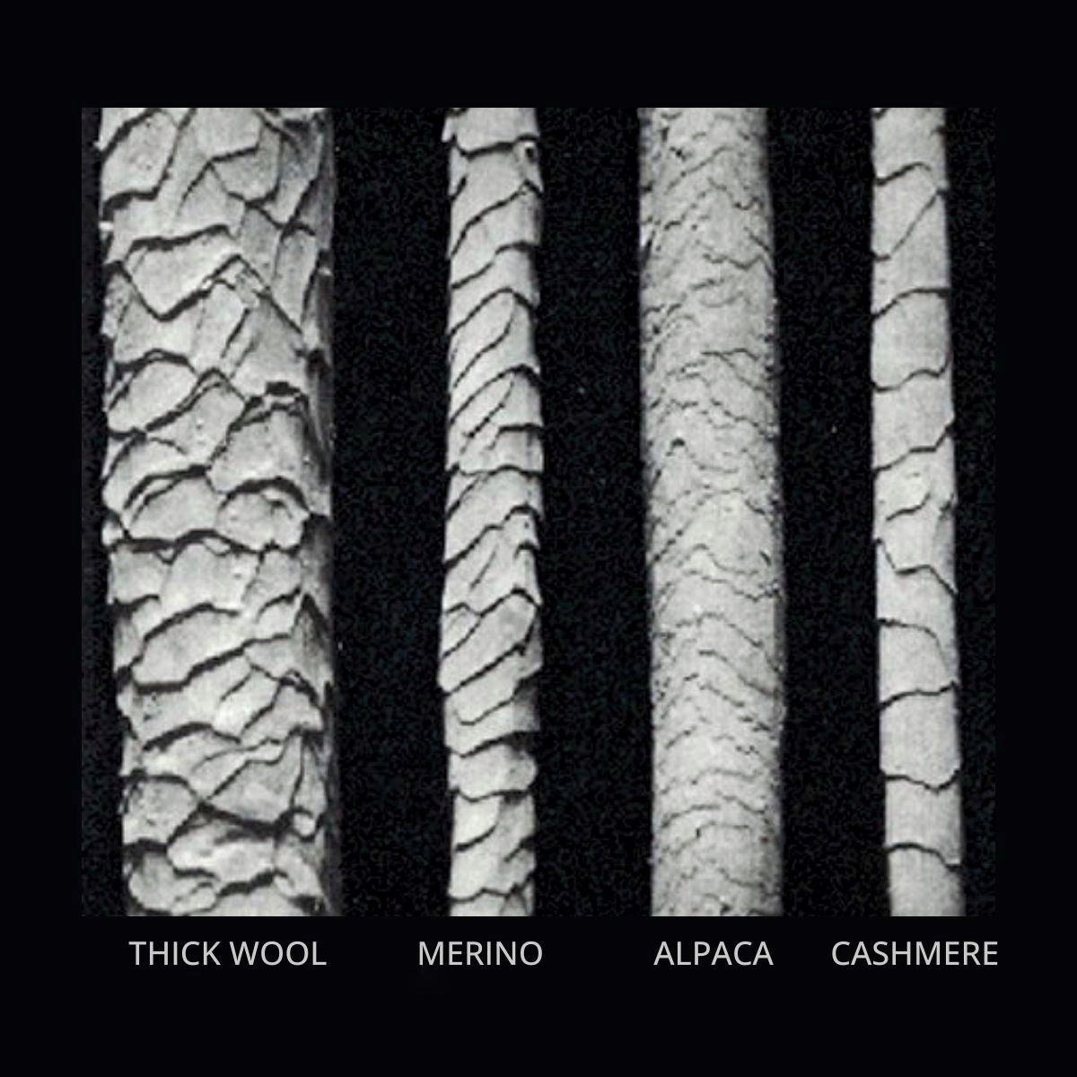 Understanding Fibre Microns: What Makes Merino Soft (and Why It Matter